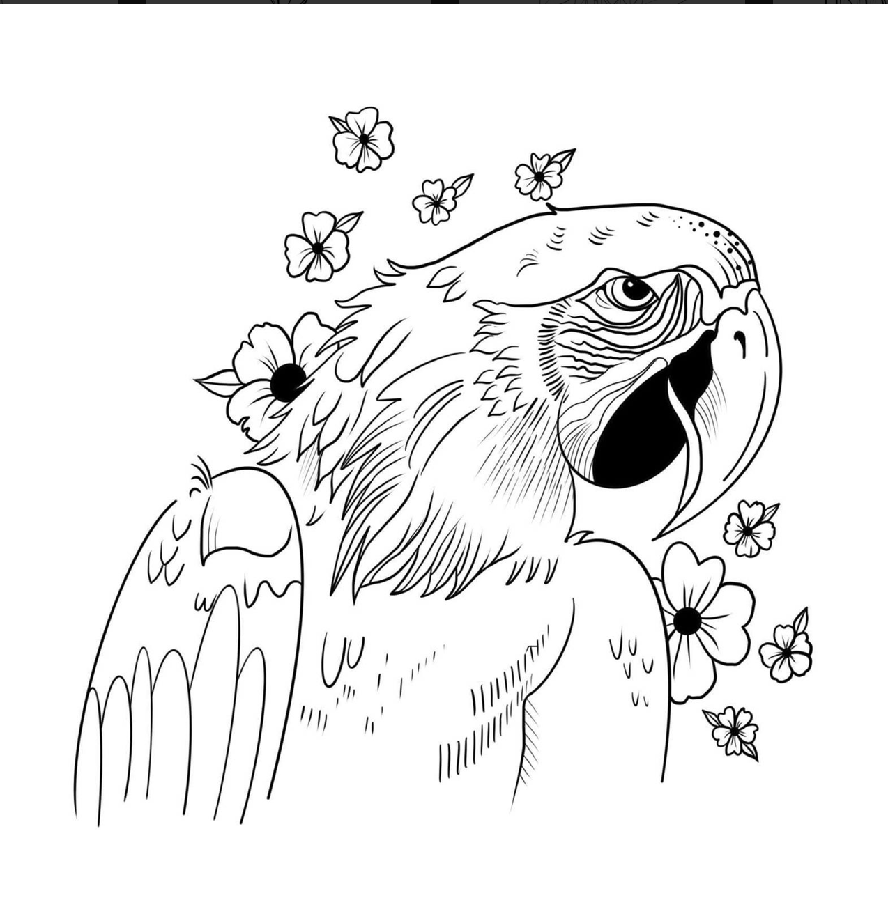 Parrot €225 – Hell Tattoo Leuven